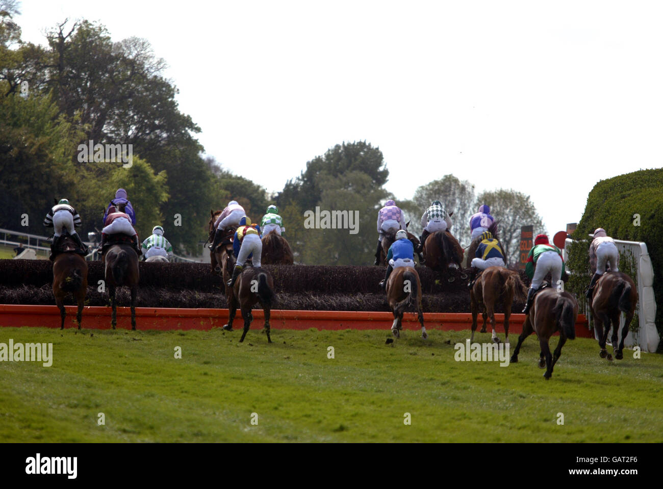 Horse racing sandown attheraces gold cup celebration meeting hi-res ...