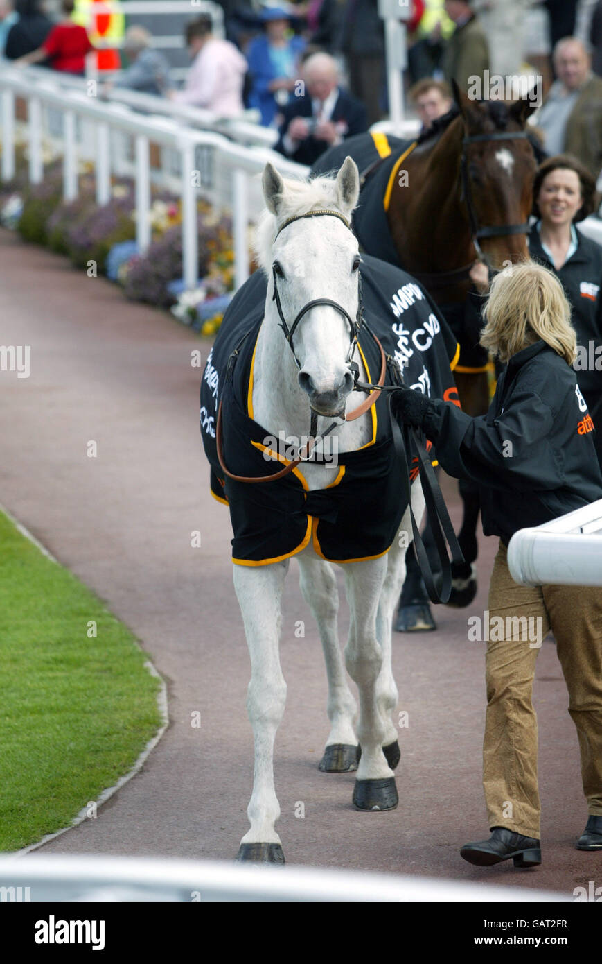 Sport horse racing horse racing horse racing hi-res stock photography ...