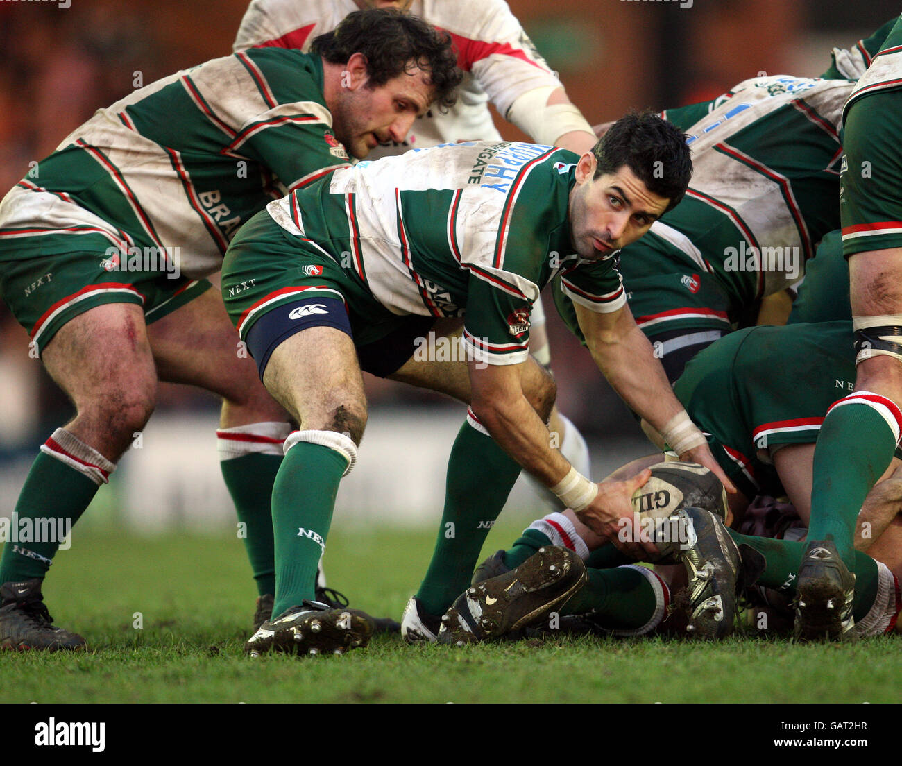 Rugby union guinness premiership leicester v newcastle welford road hi ...