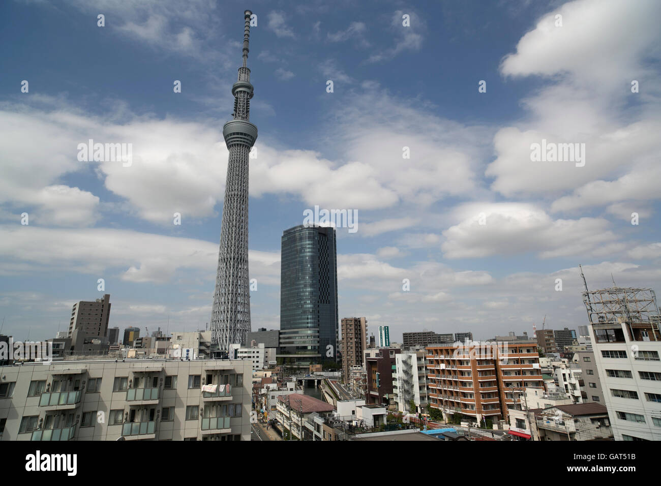 the tokyo skyline with the sky tree tower Stock Photo - Alamy