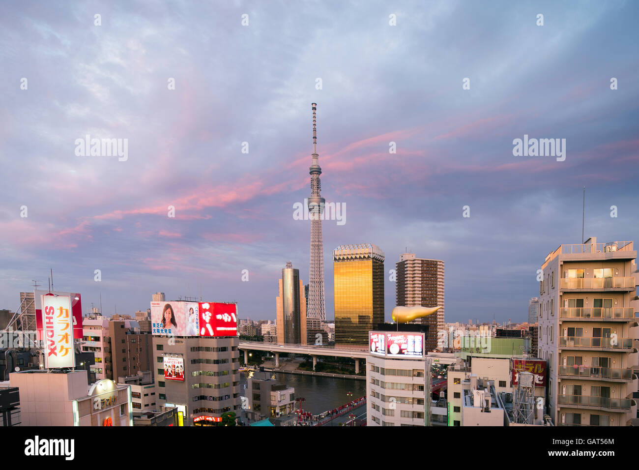 the tokyo skyline with the sky tree at sunset Stock Photo - Alamy