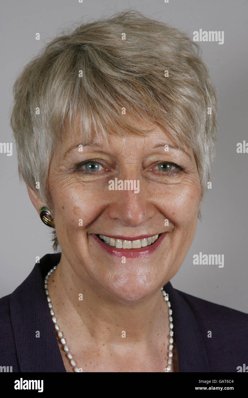 MPs & Lords 2008 Stock Photo - Alamy