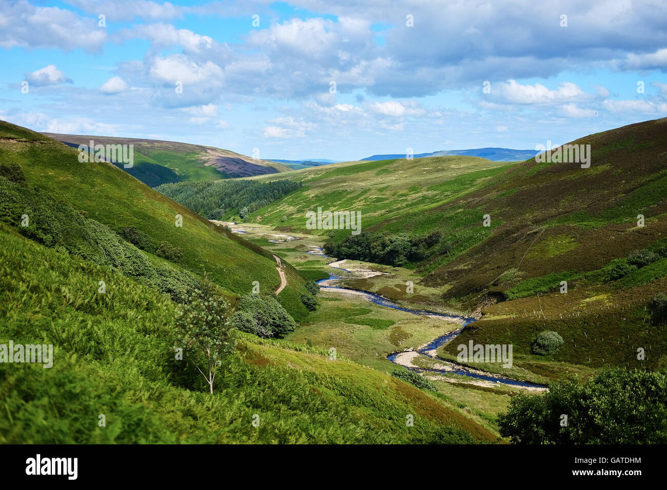 Hareden Valley in the Trough of Bowland, Lancashire. UK Stock Photo - Alamy