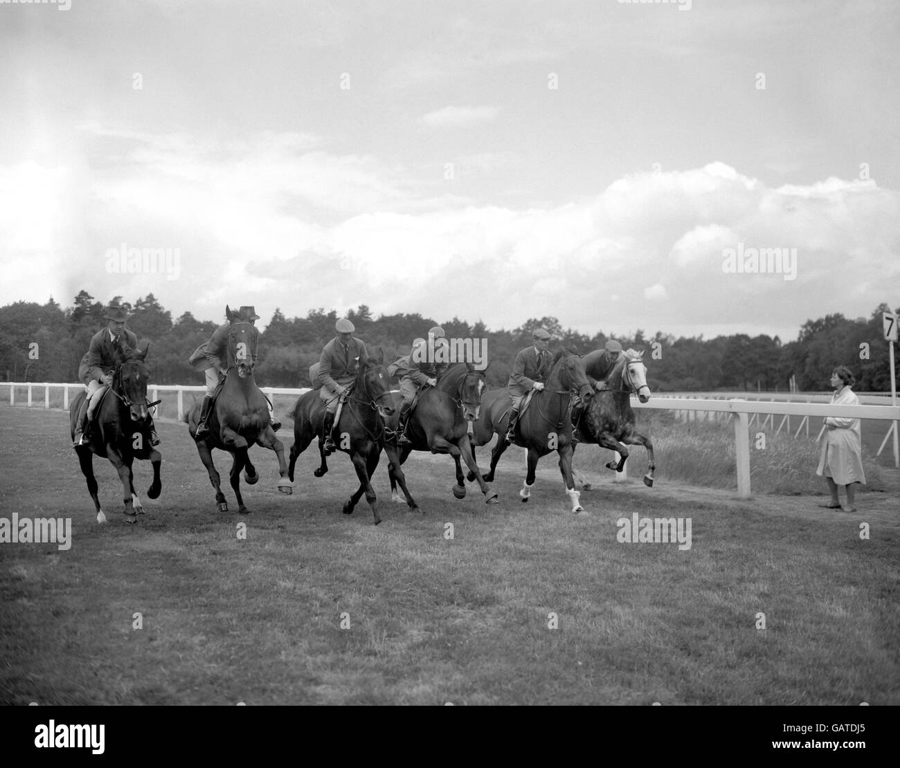 Equestrian - Rome Olympic Games 1960 Stock Photo - Alamy