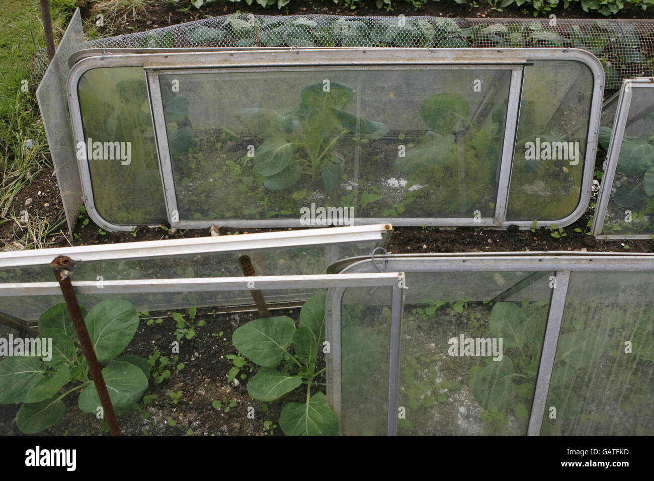 Allottments hi-res stock photography and images - Alamy