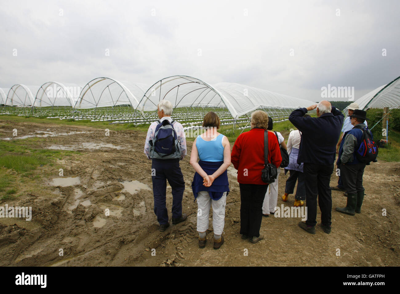 Visitors take a look around John Boyd's soft fruit farm on the Beaulieu ...