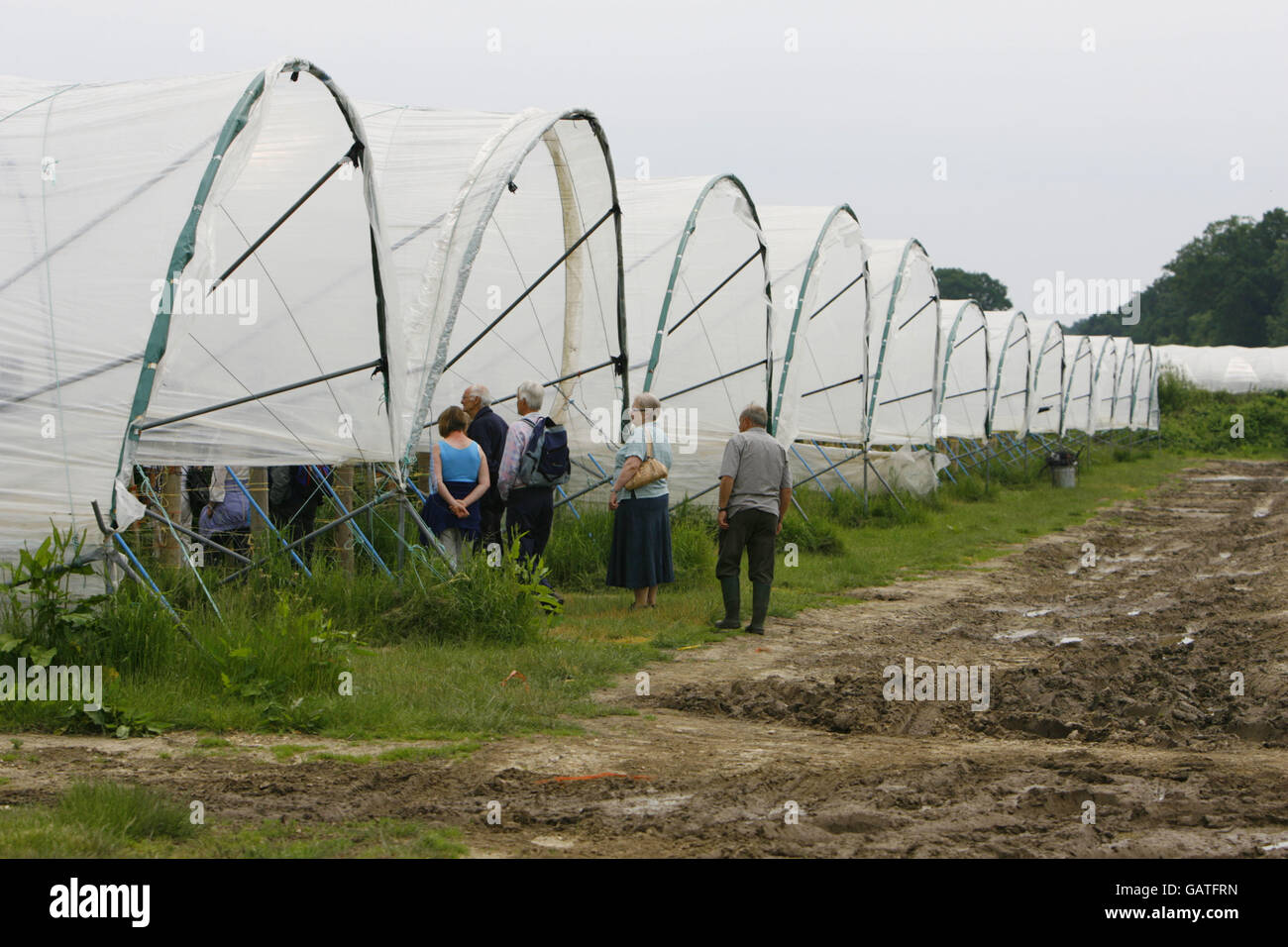 Visitors take a look around John Boyd's soft fruit farm on the Beaulieu ...