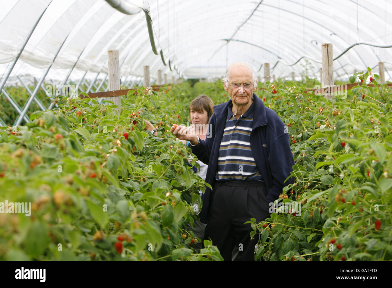 Open farm sunday hi-res stock photography and images - Alamy