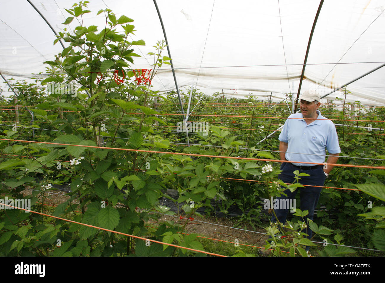 Tenant farming hi-res stock photography and images - Alamy