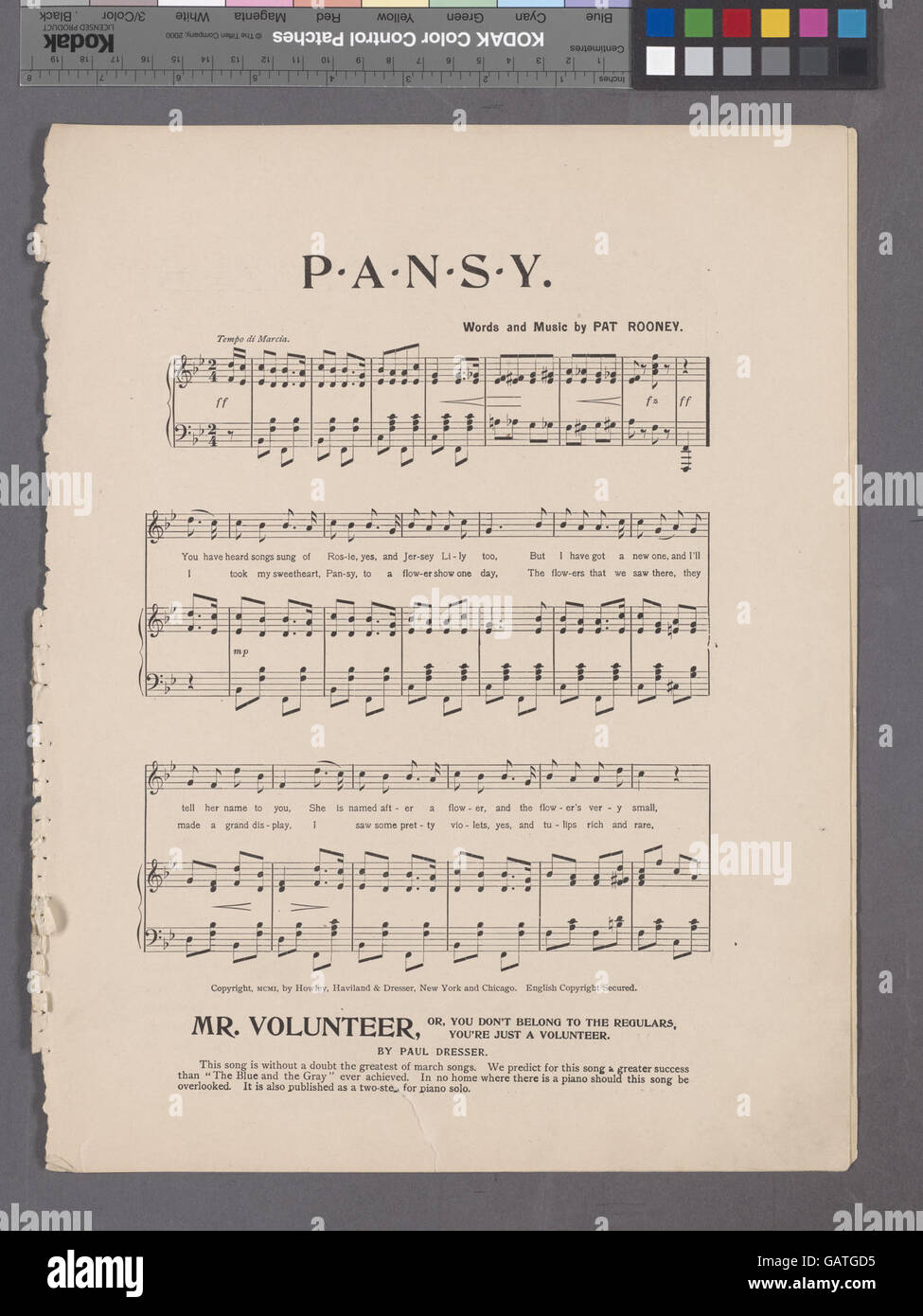 The image likely showcases a flower or person associated with the name ...