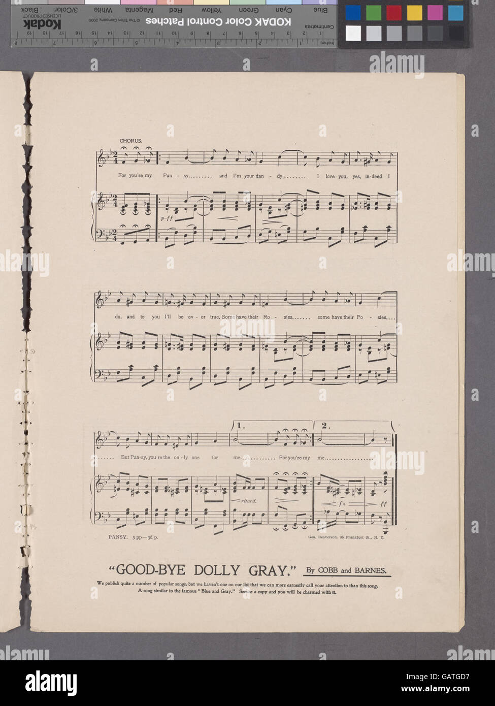 A reference to a person, character, or symbol named Pansy, potentially ...