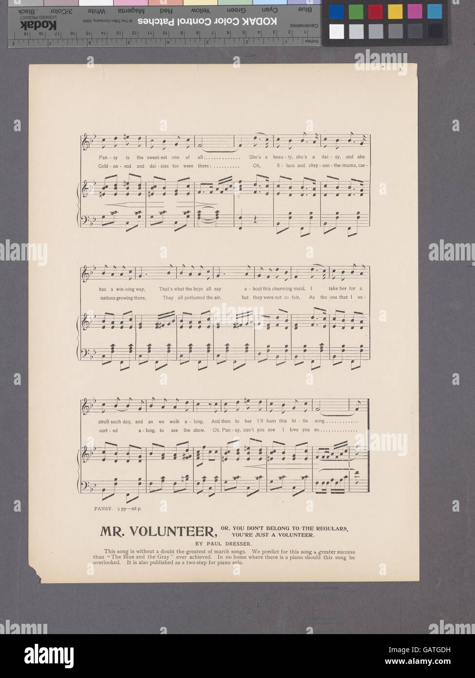 The title refers to 'Pansy,' potentially a name or symbol, possibly ...