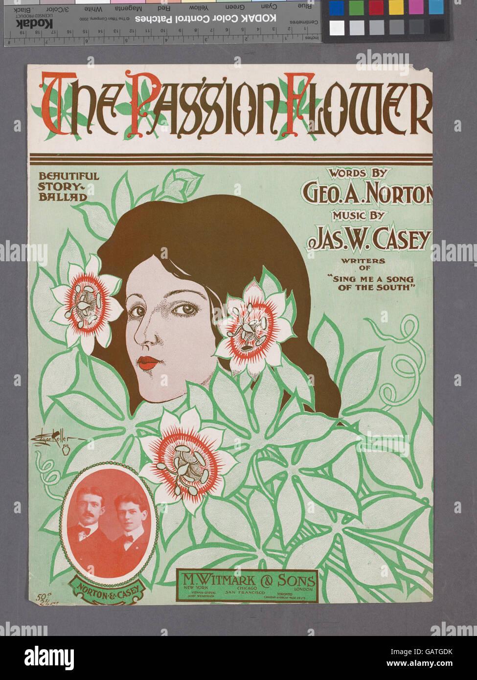 A botanical artwork showcasing the passion flower, created under Hades ...