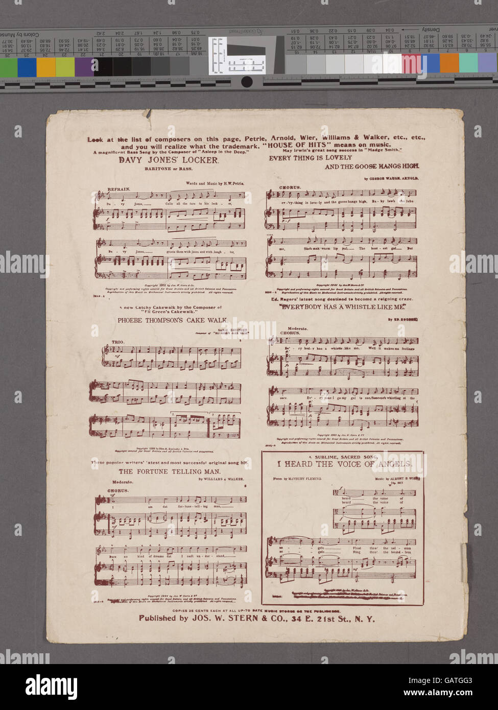 'The Poppy and the Pansy' is a song or poem likely highlighting the ...