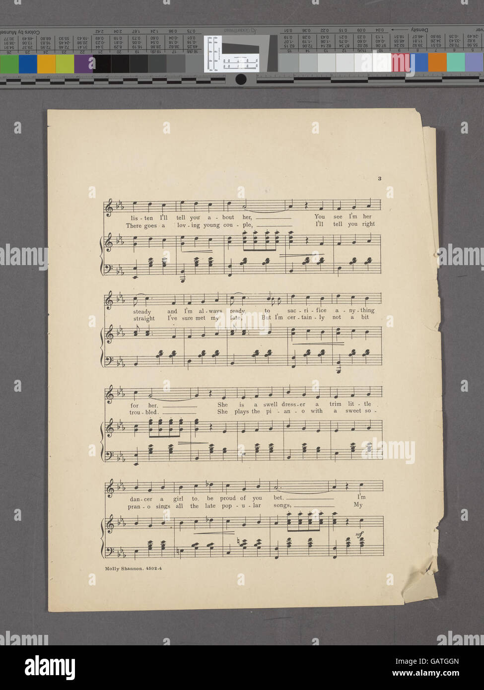 'Pretty Mollie Shannon' highlights a character named Mollie Shannon ...