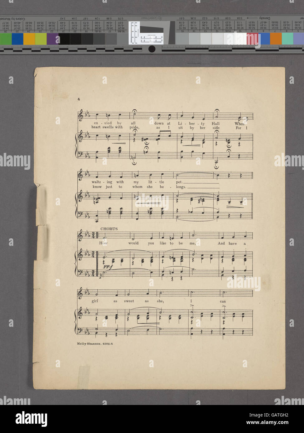 'Pretty Mollie Shannon' is portrayed as an authentic individual ...