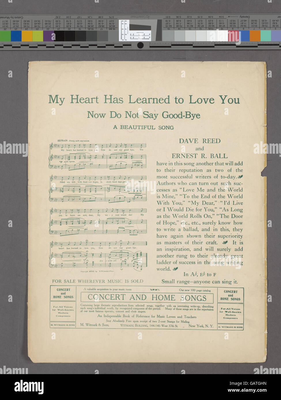 'Pretty Mollie Shannon' likely refers to a charming and authentic ...