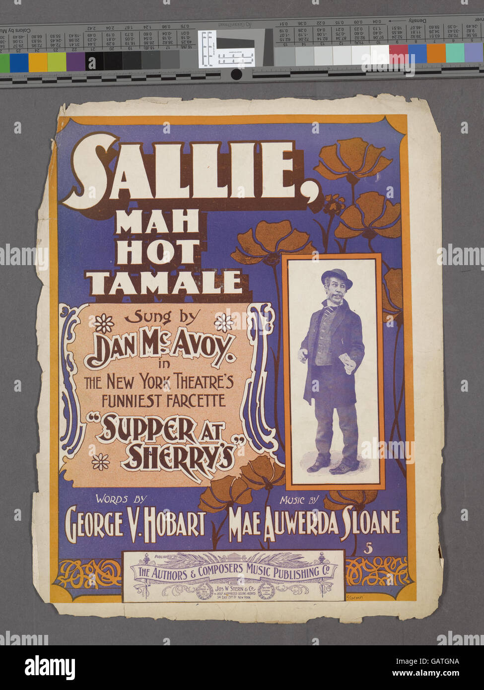 An artwork possibly featuring a woman named Sallie, depicted in a ...