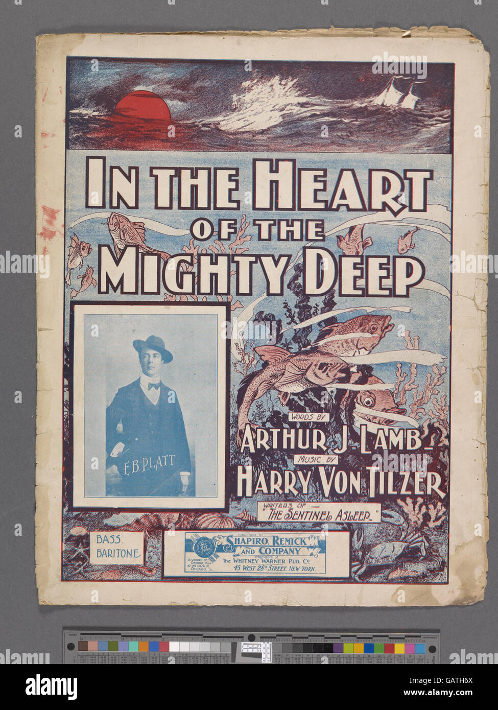 'In the Heart of the Mighty Deep' evokes the vast and mysterious world ...