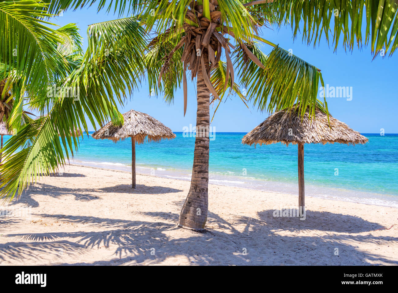 Straw umbrellas and palm trees on a beautiful tropical beach Stock ...