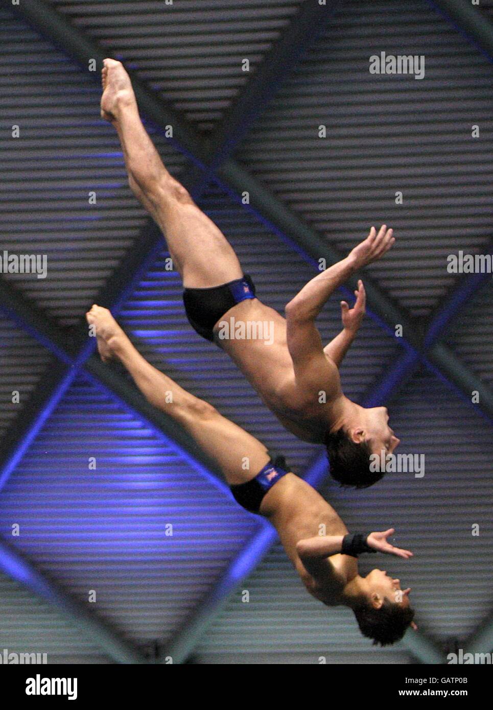Diving - Fina Diving World Series 2008 - Day One - Ponds Forge. Great ...