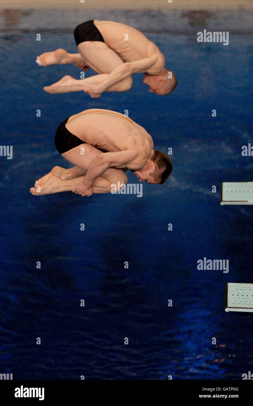Diving - Fina Diving World Series 2008 - Day Two - Ponds Forge Stock ...