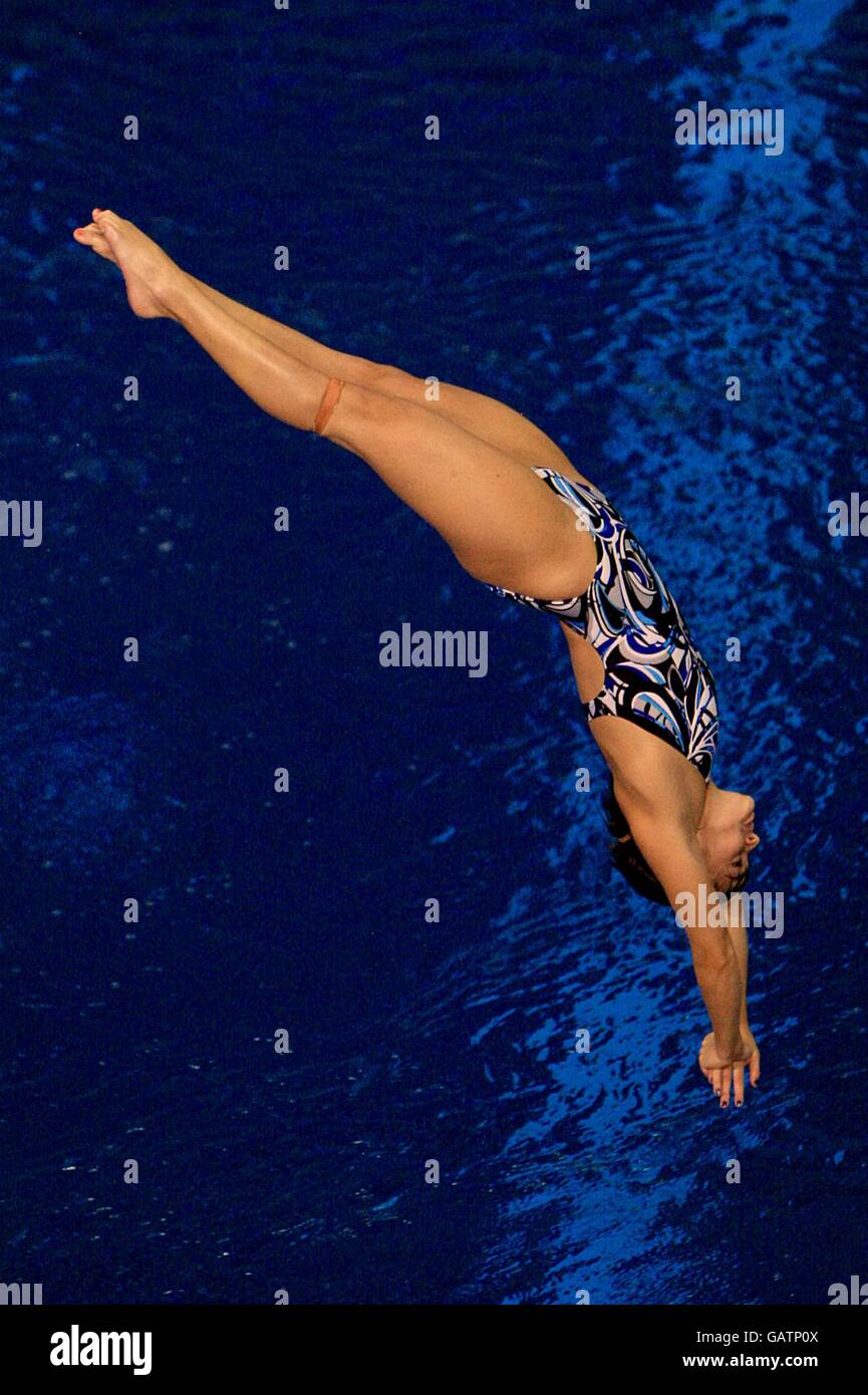 Diving - Fina Diving World Series 2008 - Day Two - Ponds Forge Stock ...
