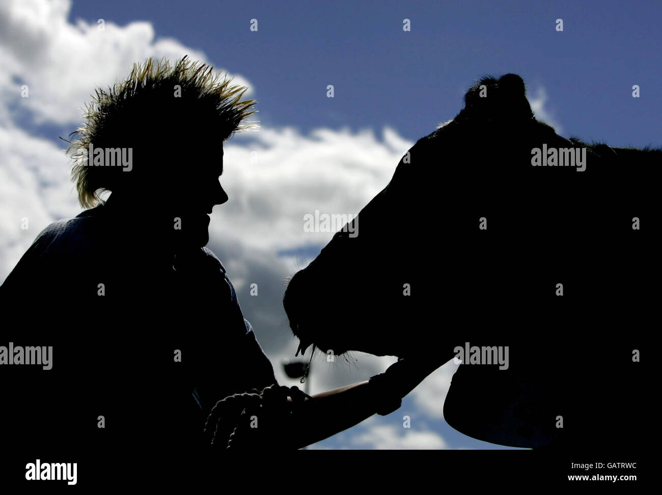 Royal Highland Show, 2008. A farmer prepares his cow prior to judging ...