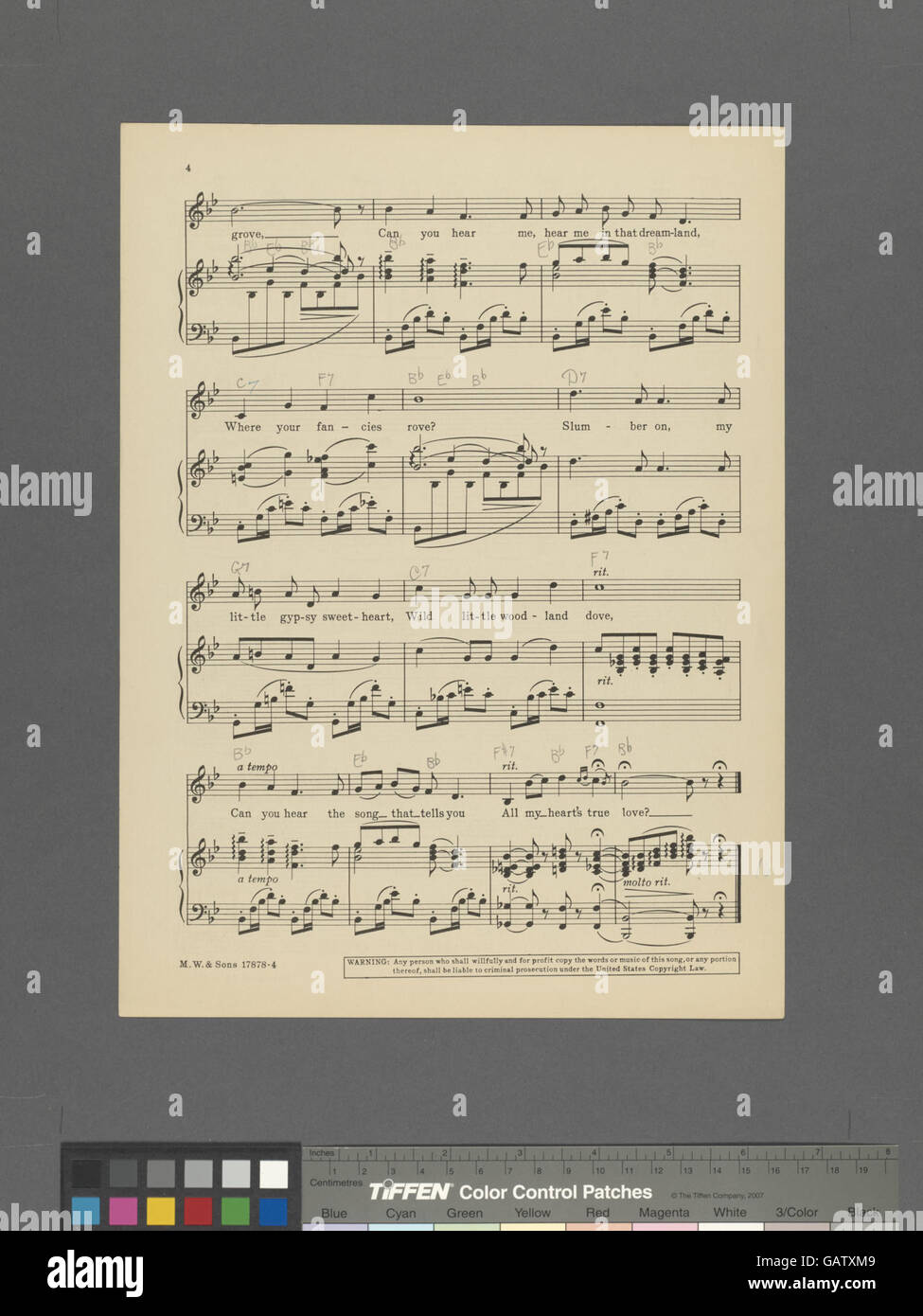 'Gypsy Love Song' captures the emotional intensity of Romani culture ...