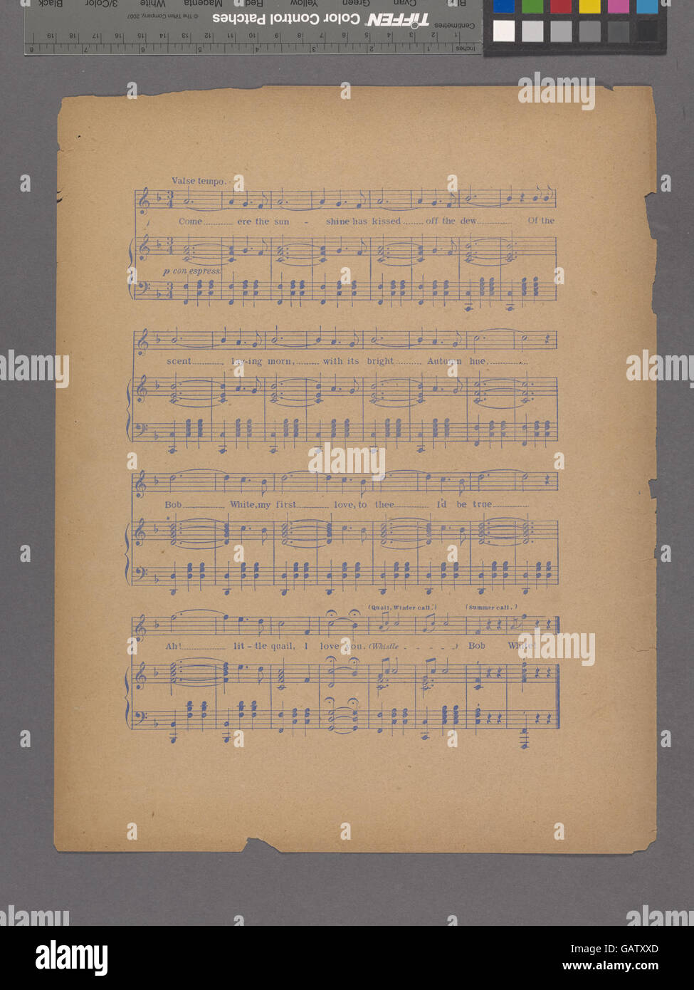 A musical piece titled 'Bob White - Quail Song,' which is likely a ...