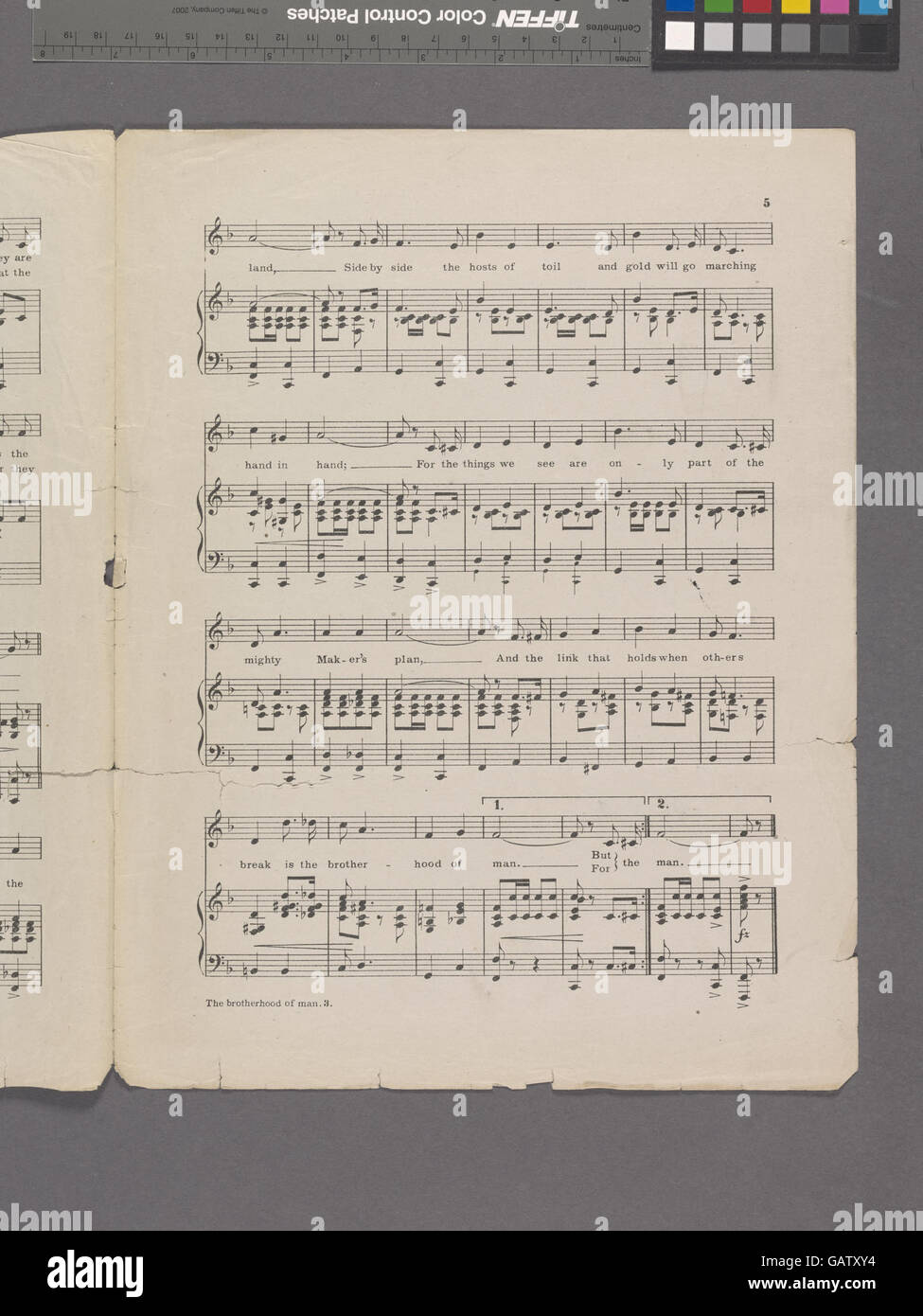 'The Brotherhood of Man' reflects a universal theme of unity ...