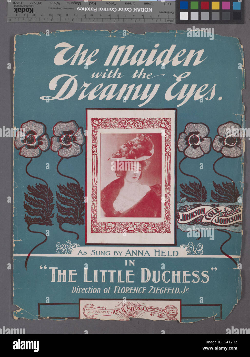 'The Maiden with Dreamy Eyes' likely refers to a romantic or ...