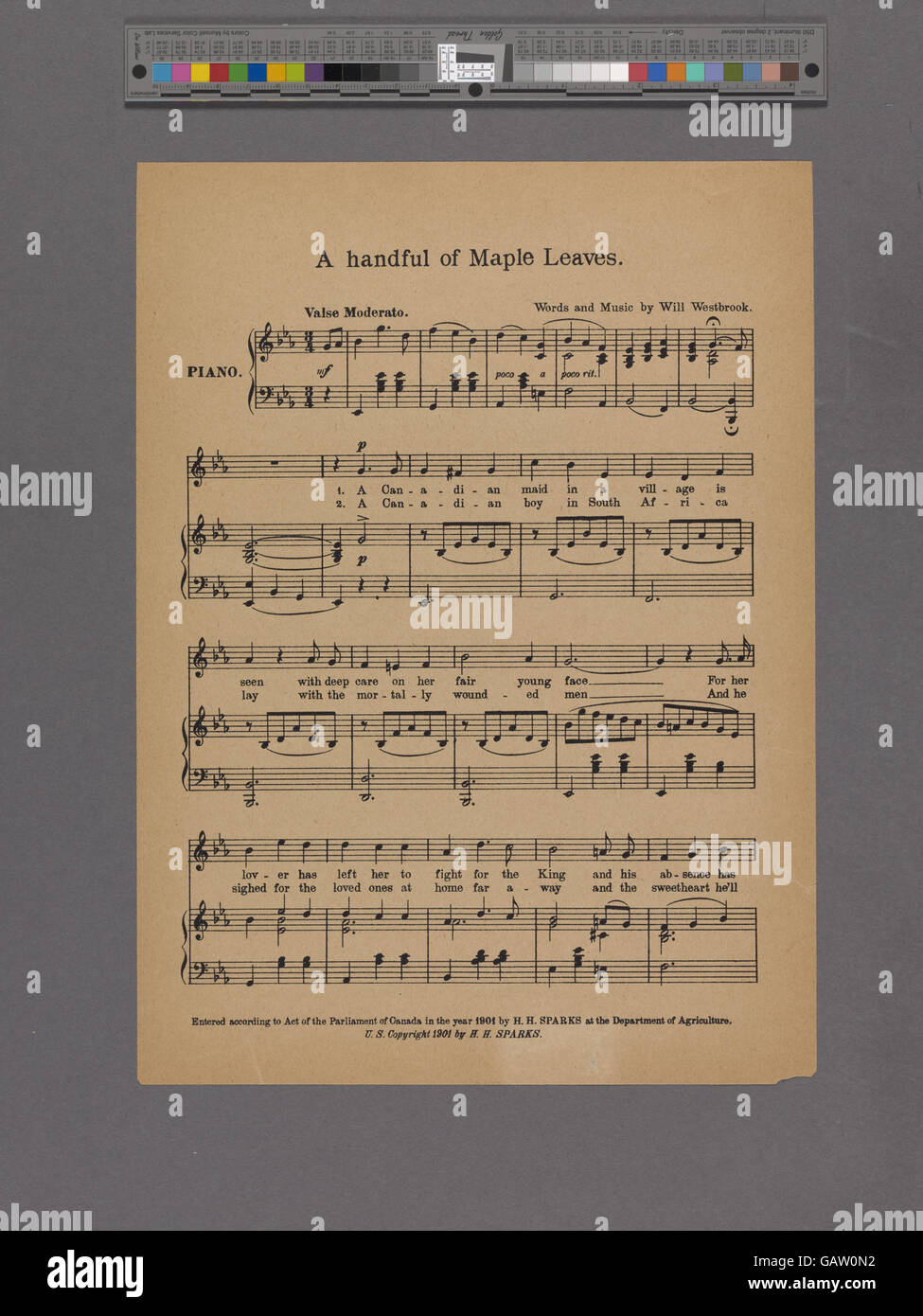 'A Handful of Maple Leaves' suggests a song or poem that reflects on ...