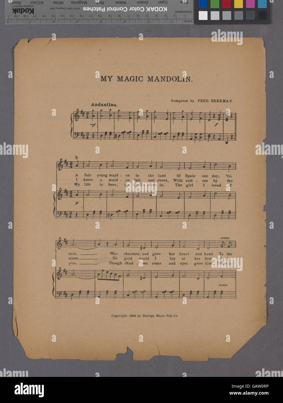 A scene featuring a mandolin, an instrument known for its sweet and ...