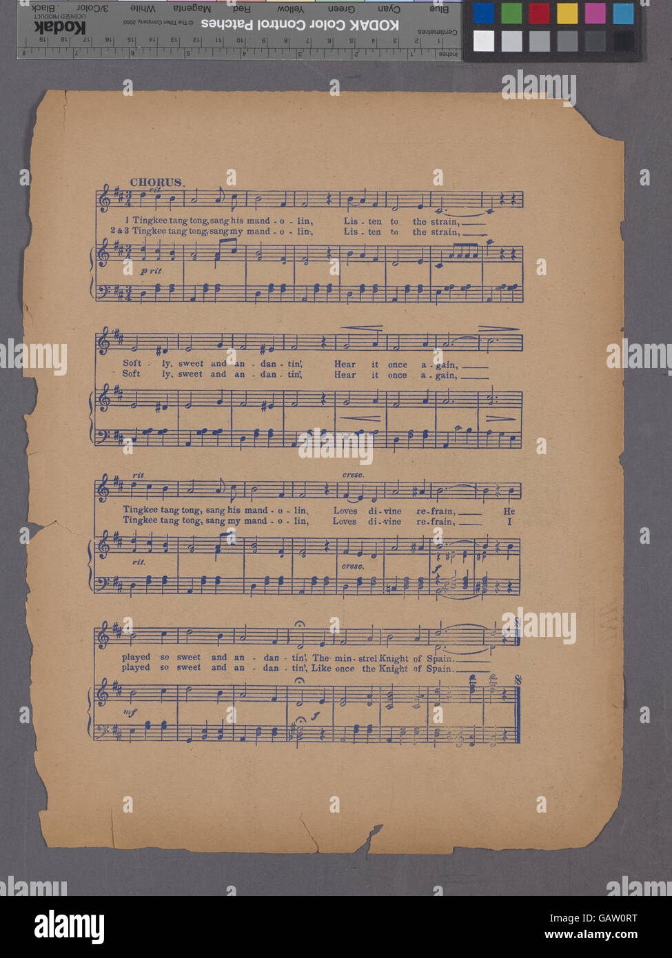 An artistic expression through a mandolin, symbolizing a personal or ...