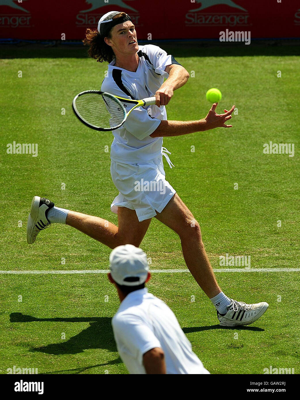 Butorac hi-res stock photography and images - Alamy