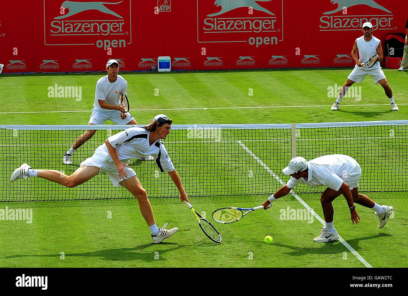 Butorac hi-res stock photography and images - Alamy