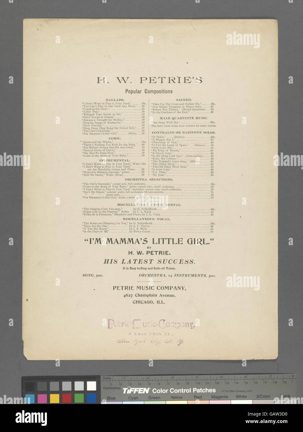 A composition titled 'I Don't Want to Play in Your Yard', reflecting ...