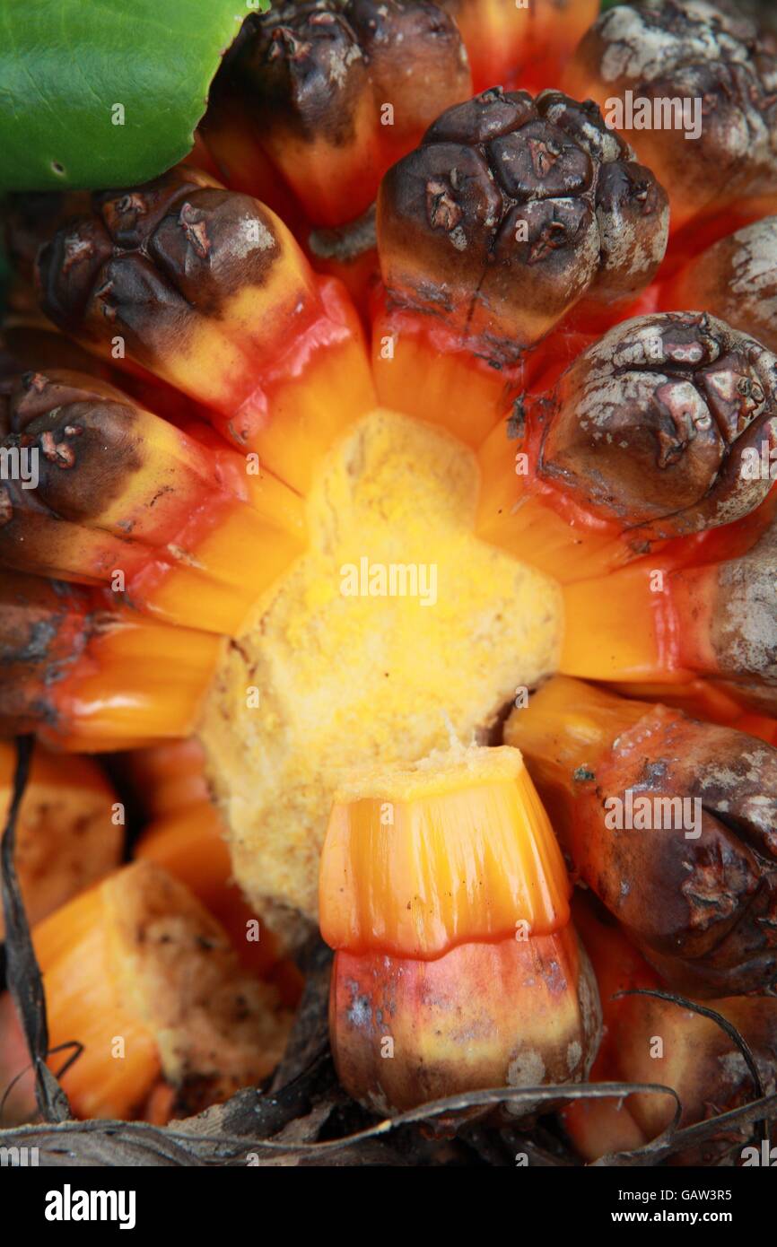 Wave zone hi-res stock photography and images - Alamy