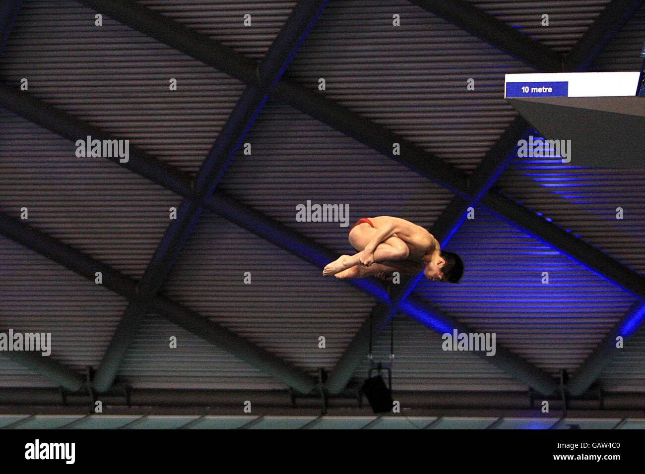 Diving - Fina Diving World Series 2008 - Day Two - Ponds Forge. China's ...