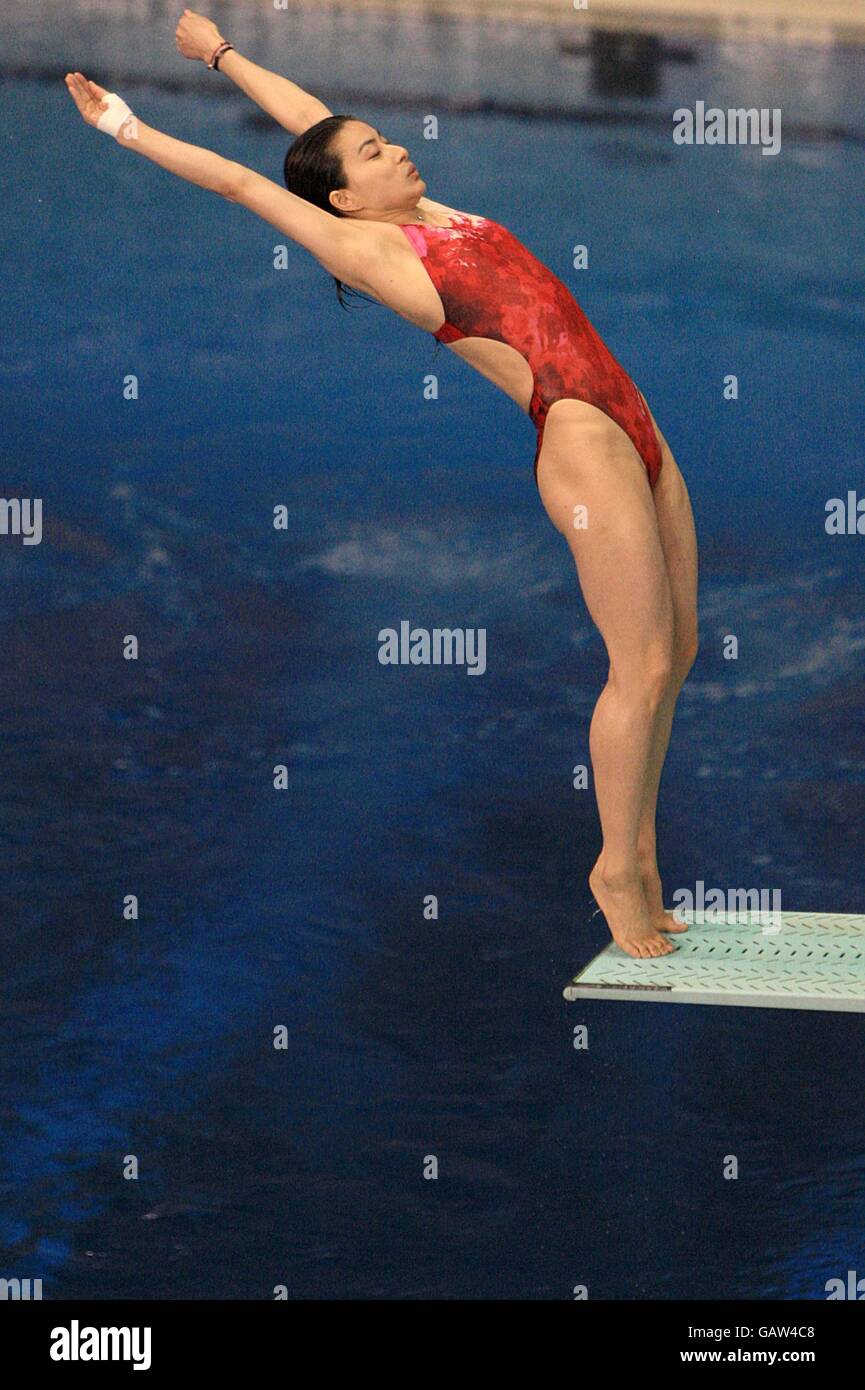 Diving - Fina Diving World Series 2008 - Day Two - Ponds Forge. China's ...