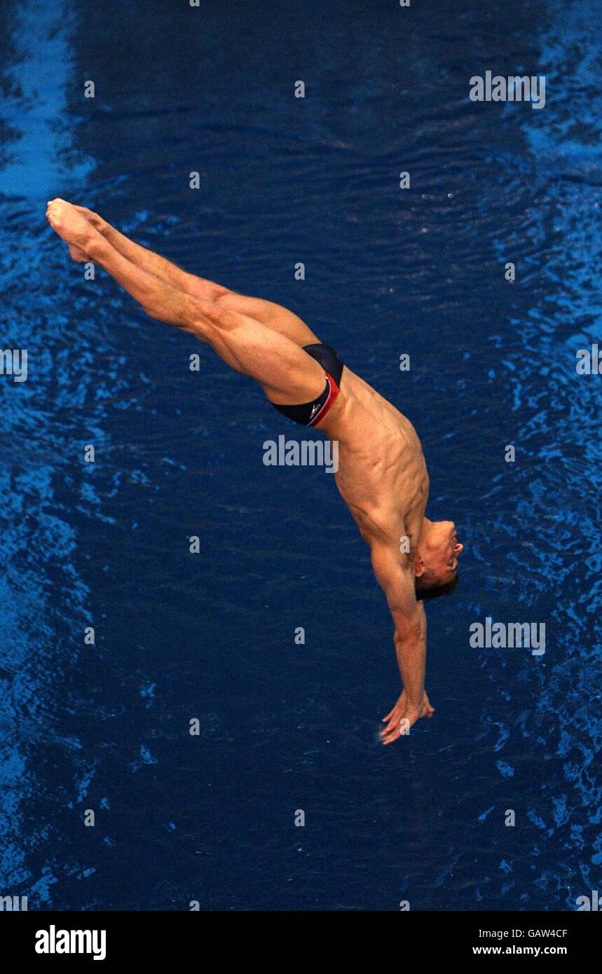 Diving - Fina Diving World Series 2008 - Day One - Ponds Forge Stock ...