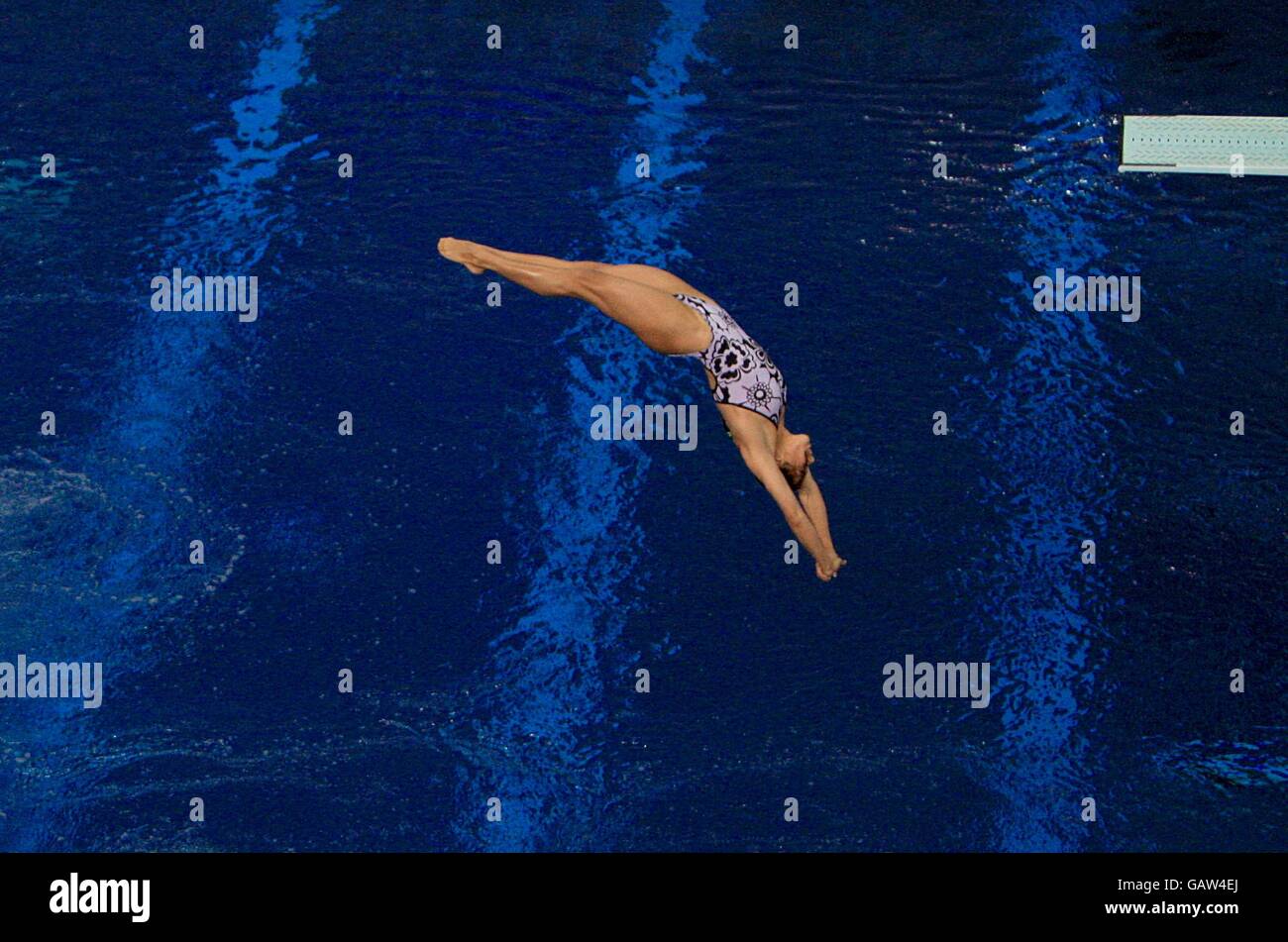 Diving - Fina Diving World Series 2008 - Day Two - Ponds Forge Stock ...