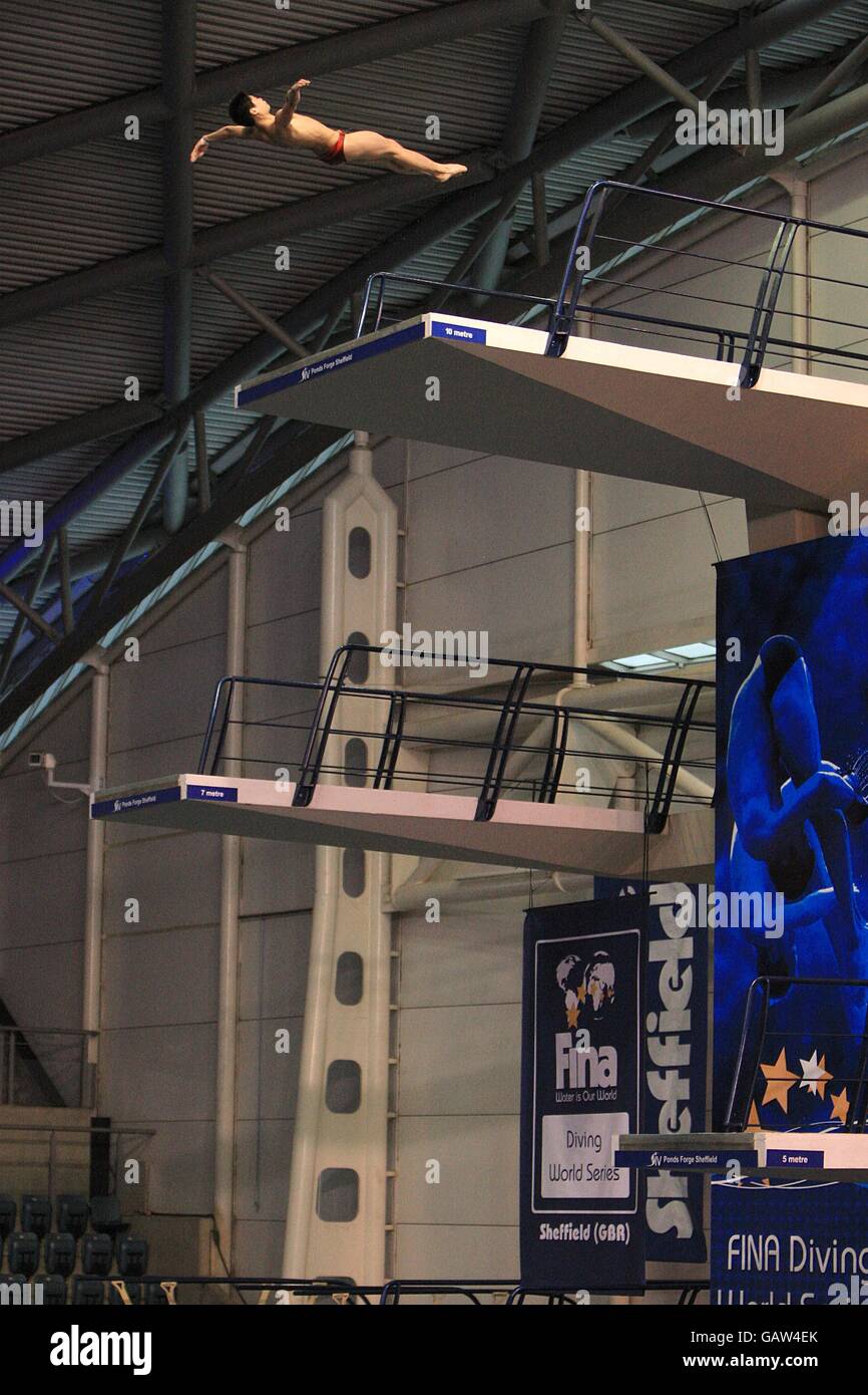 Diving - Fina Diving World Series 2008 - Day Two - Ponds Forge Stock ...