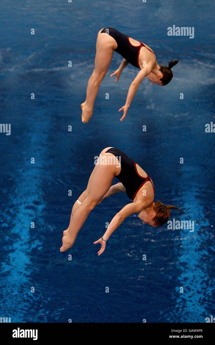 Diving - Fina Diving World Series 2008 - Day One - Ponds Forge Stock ...