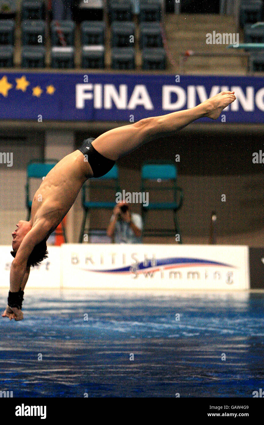 Diving - Fina Diving World Series 2008 - Day Two - Ponds Forge Stock ...