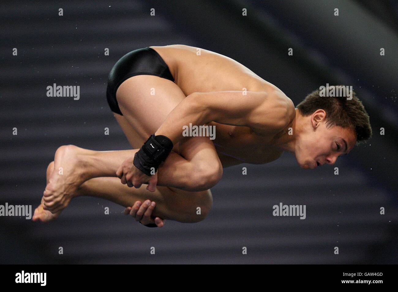 Diving - Fina Diving World Series 2008 - Day Two - Ponds Forge Stock ...
