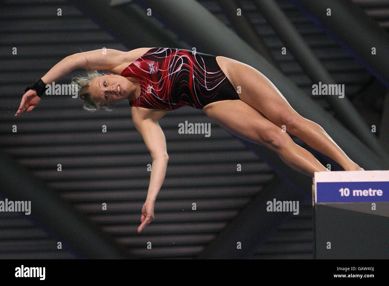 Diving - Fina Diving World Series 2008 - Day One - Ponds Forge Stock ...