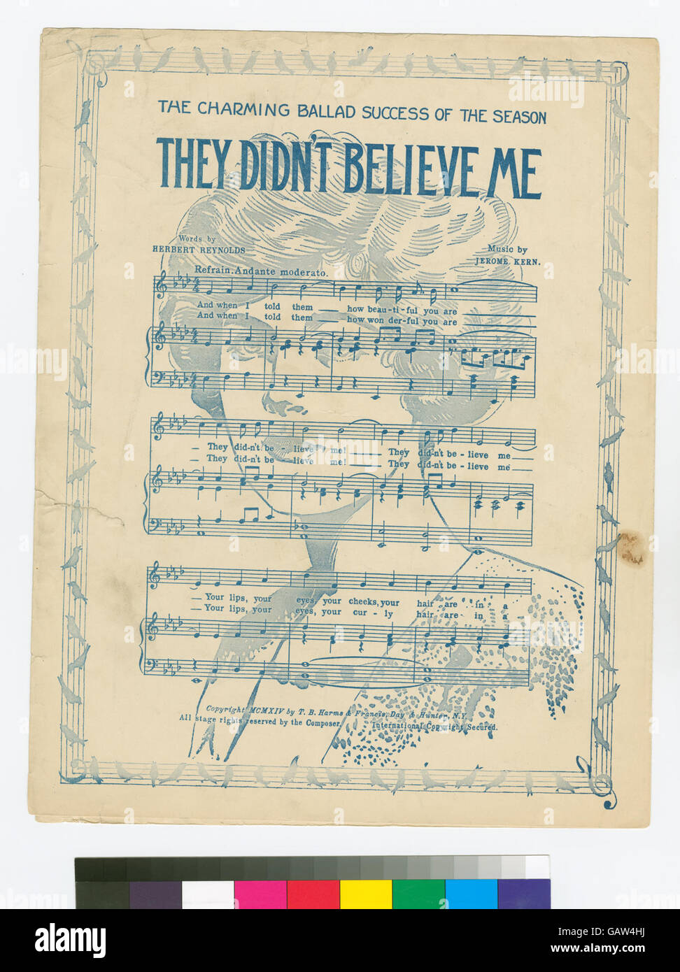 'My beautiful Irish maid' likely refers to a romanticized or ...