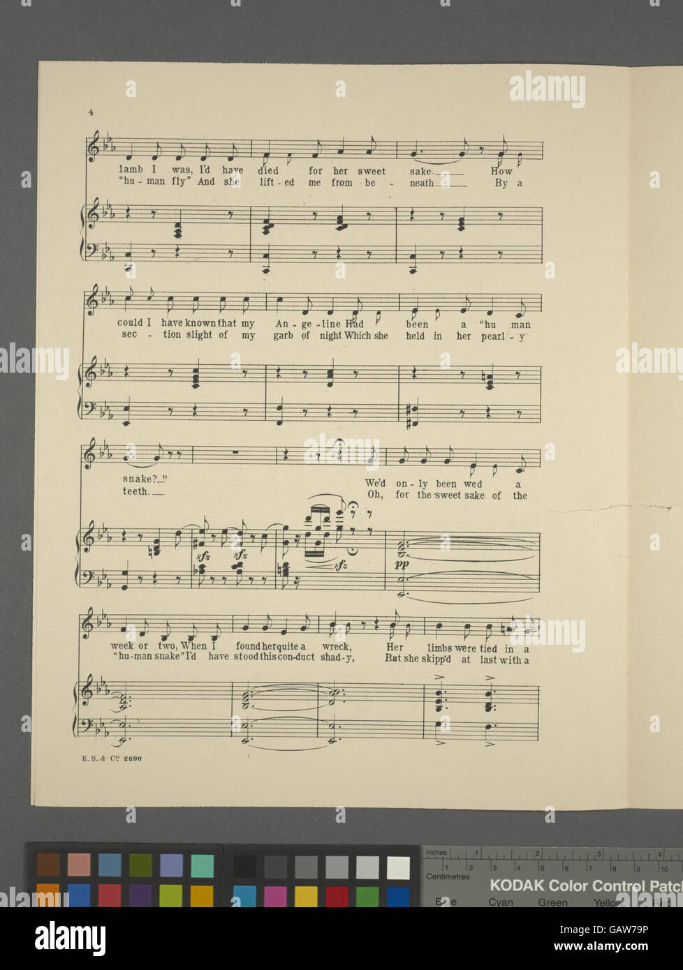 The image 'My Angeline', identified by Hades-463854-1696579, depicts a ...